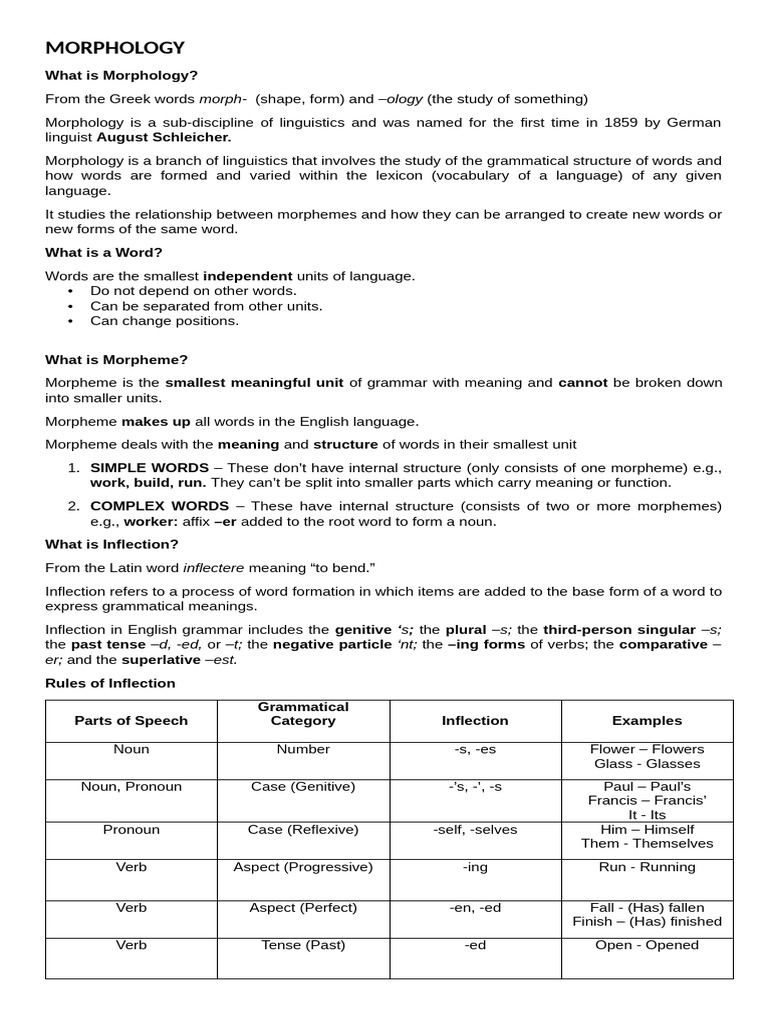 MORPHOLOGY 1 | PDF | Word | Morphology (Linguistics)