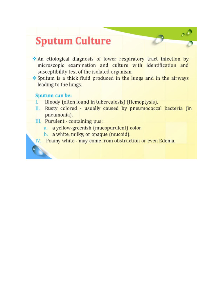 Sputum Culture | PDF