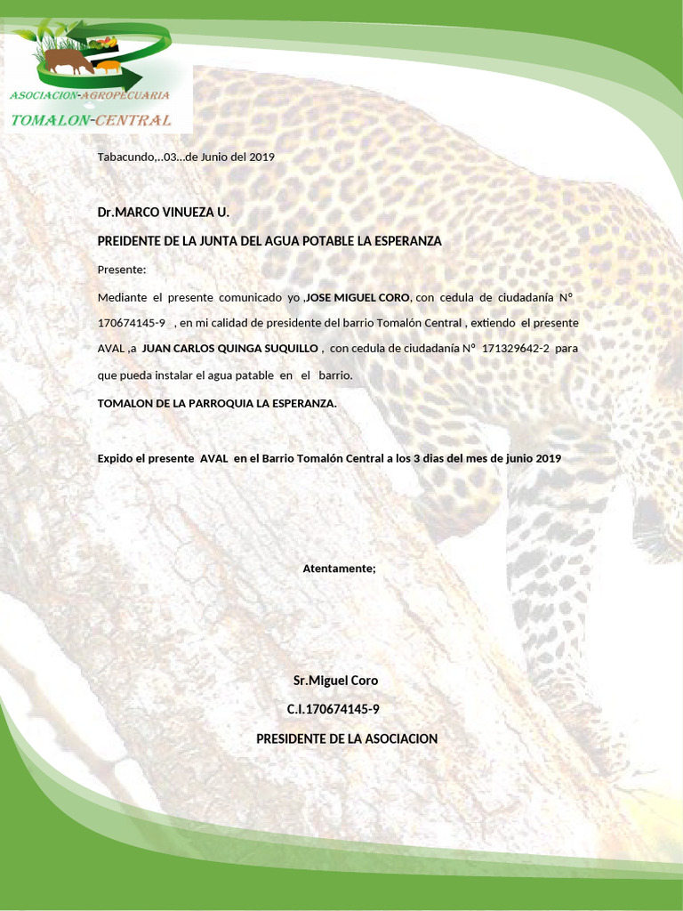 Solicitud de Agua Potable Tomalon | PDF