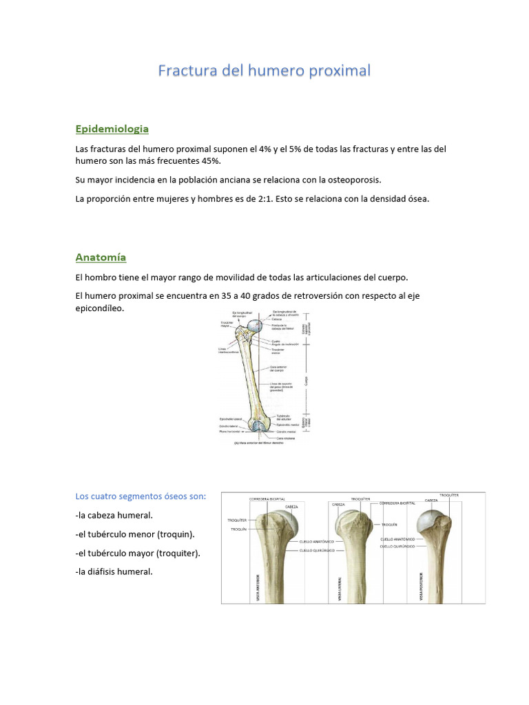 F.de Humero Proximal | PDF | Hombro | Sistema musculoesquelético
