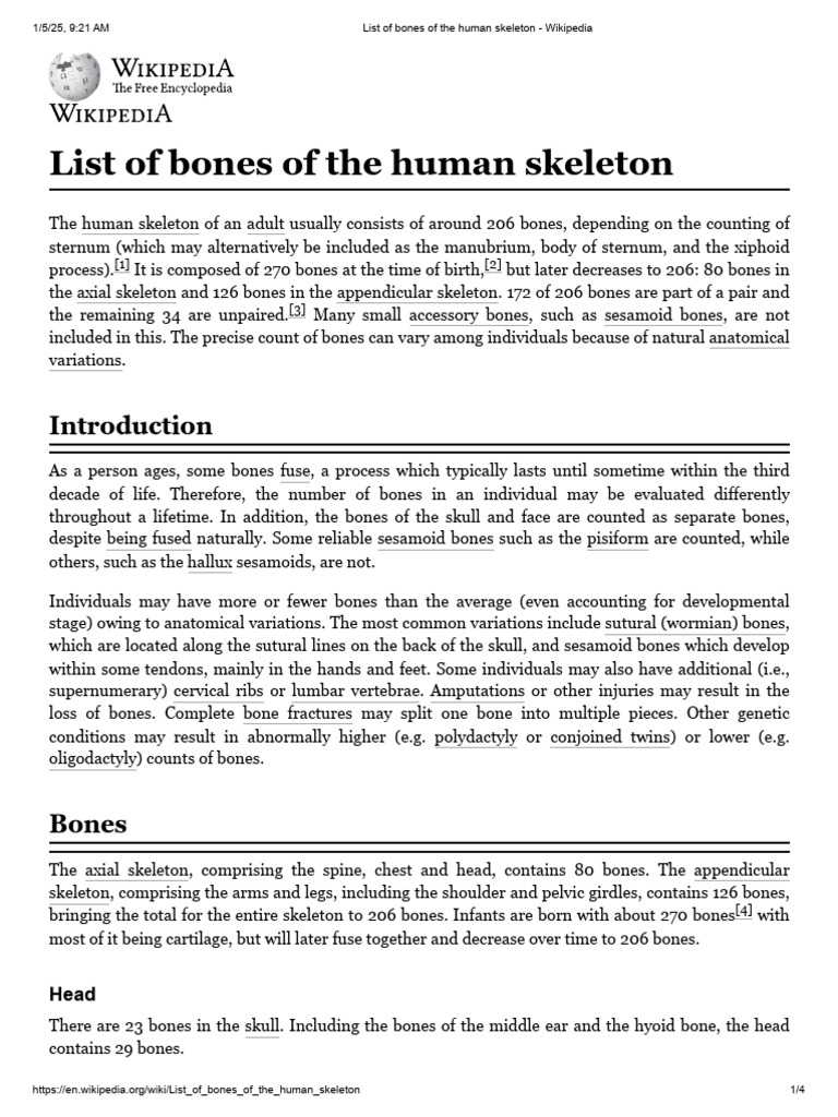 List of Bones of The Human Skeleton | PDF | Foot | Vertebral Column
