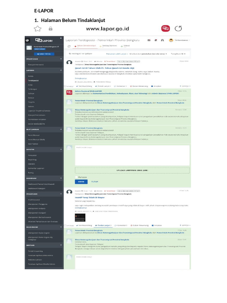 Tampilan E-Lapor | PDF