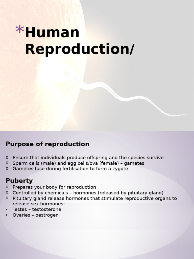 Human Reproduction Gr9 Pdf Human Reproduction Testicle