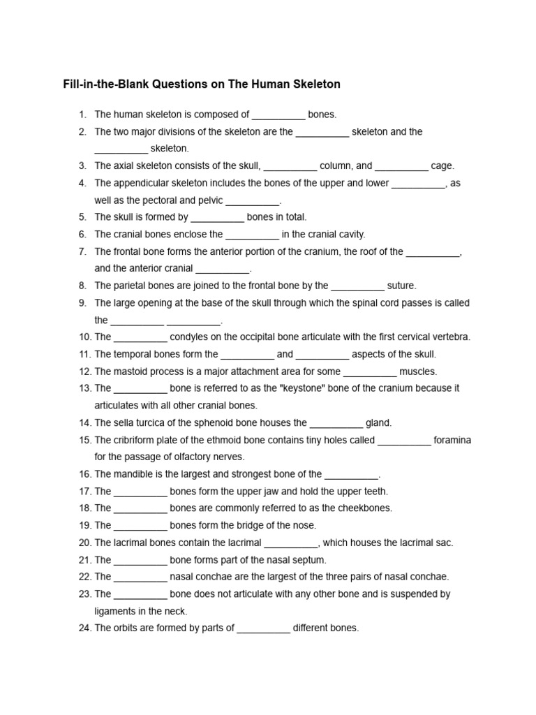 Human Skeleton Fill-in-the-Blank Quiz | PDF | Vertebra | Skull
