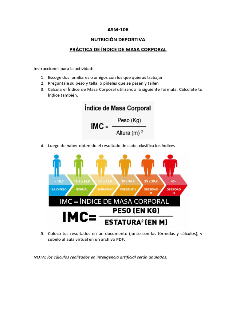 Instrucciones Práctica IMC | PDF