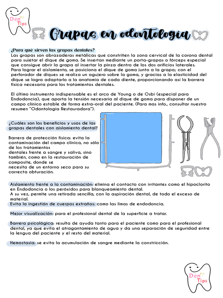 Tipos y Usos de Grapas Dentales | PDF | Odontología | Diente