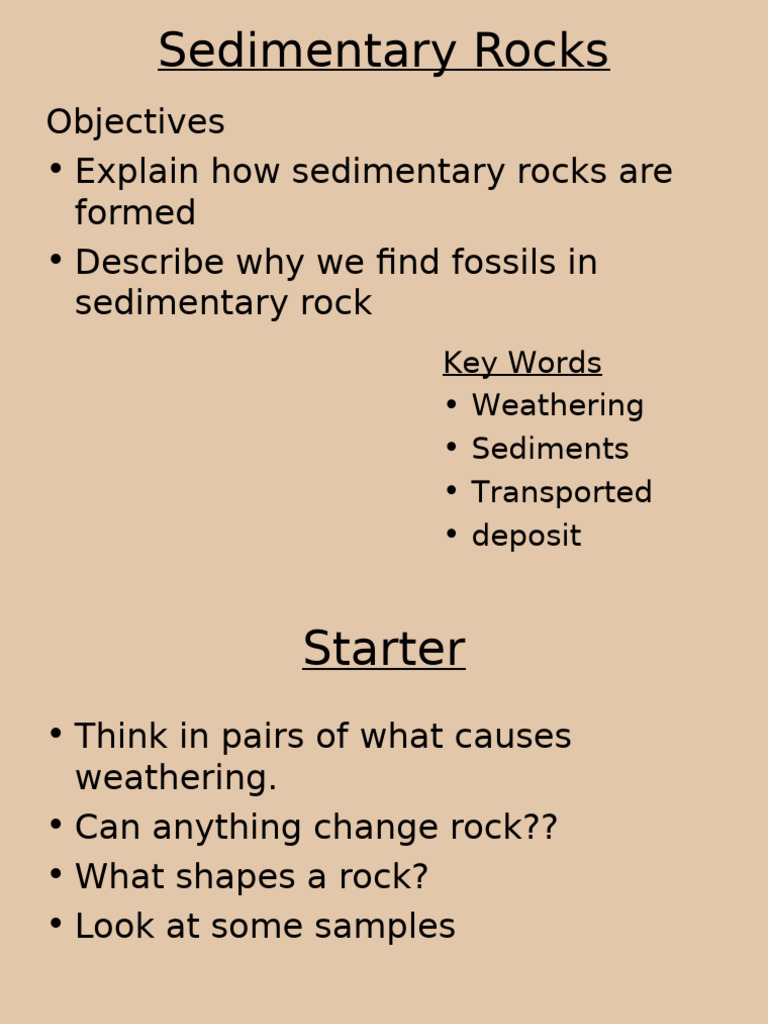 Lesson 1 Sedimentary Rocks | PDF