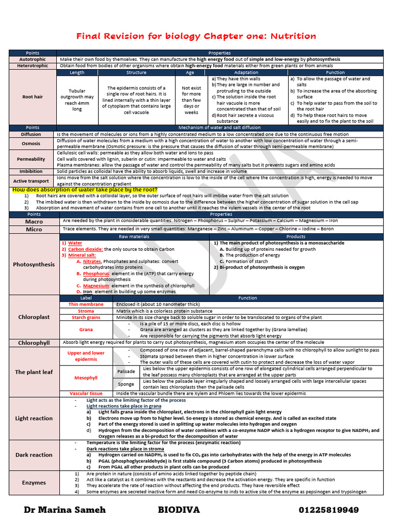 Final Revision for Biology Chapter One 2 | PDF | Heart Valve | Stomach