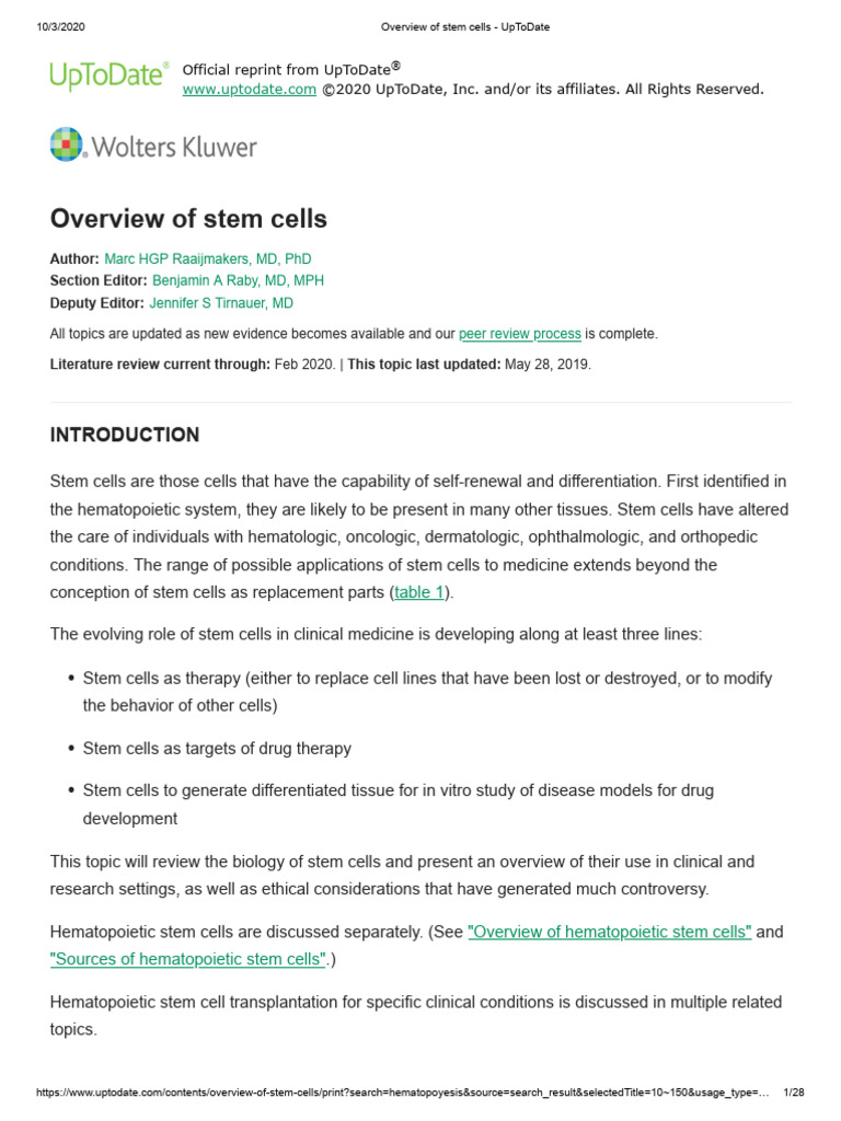 Overview of Stem Cells | PDF | Cell Potency | Stem Cell