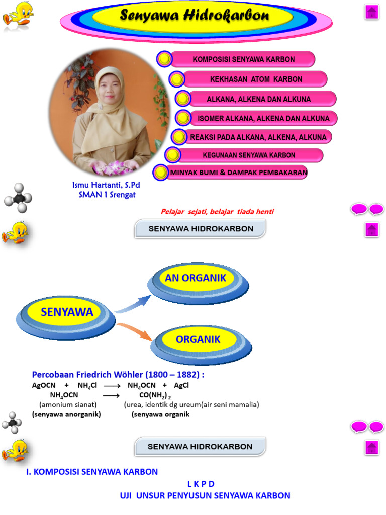 Senyw HK, MB Dan Dampak Pembakaran S HK (S) | PDF