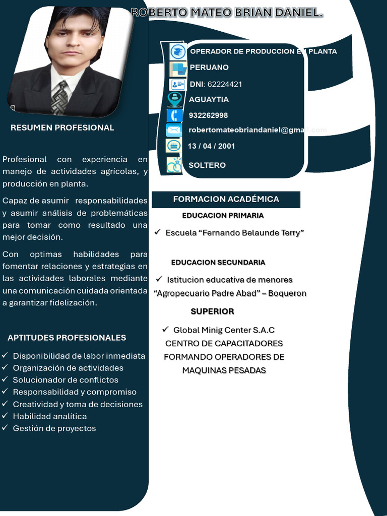 CV Brian Daniel Roberto Mateo 2025 4 | PDF