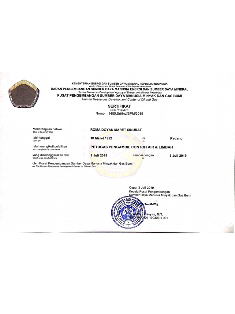 PPC Air Roma Sinurat | PDF