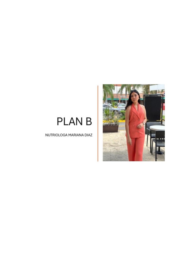 Plan B | PDF