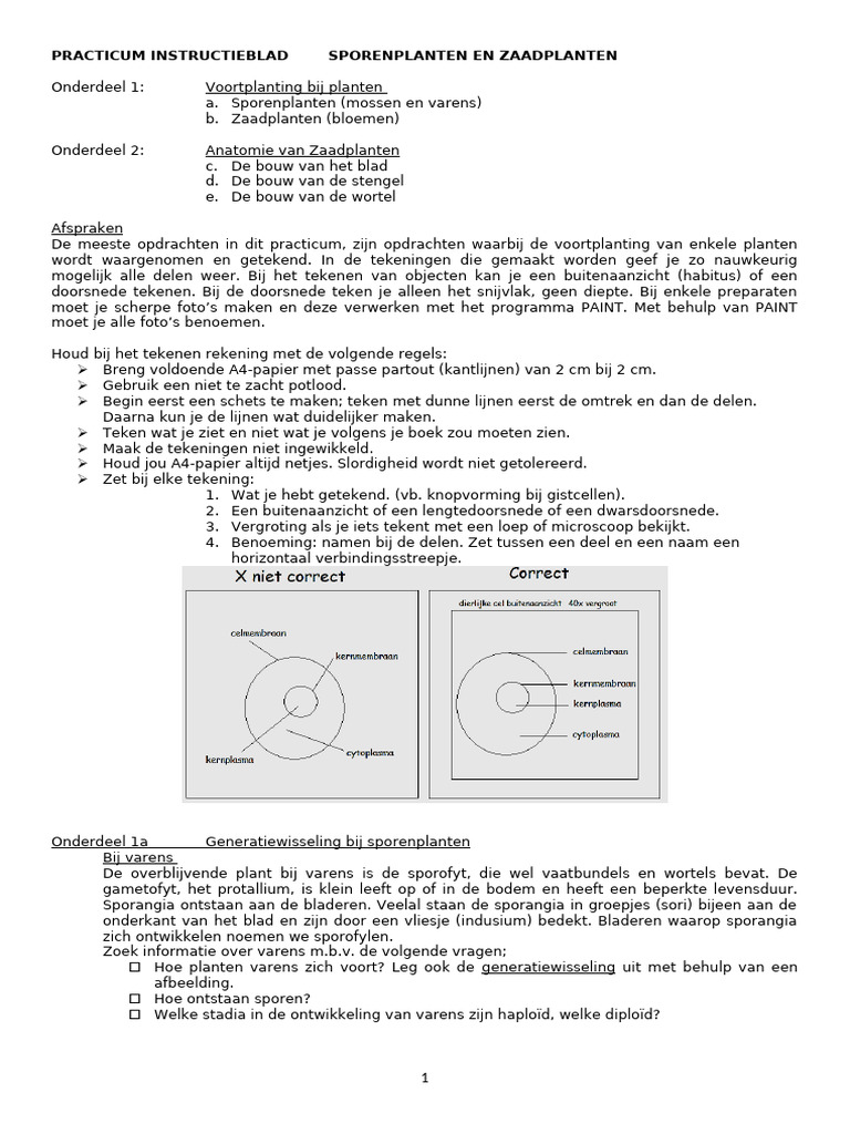 Practicum Sporeplanten en Zaadplanten 2024-2025 | PDF
