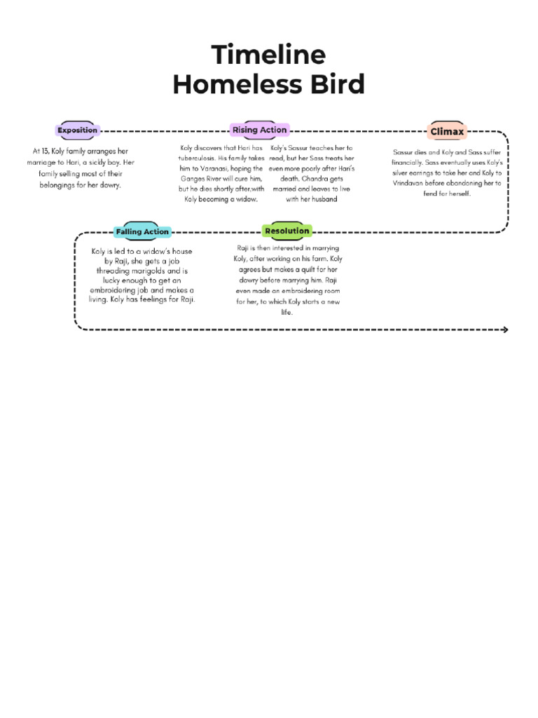 Literature - Homeless Bird - Alessa O. Mikayla v. Arielle B. Luna M^L | PDF