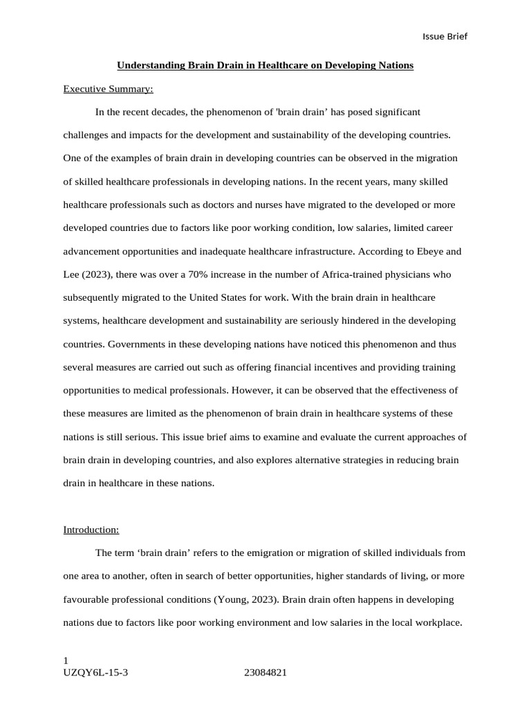 Issue brief | PDF | Human Capital Flight | Health Professional