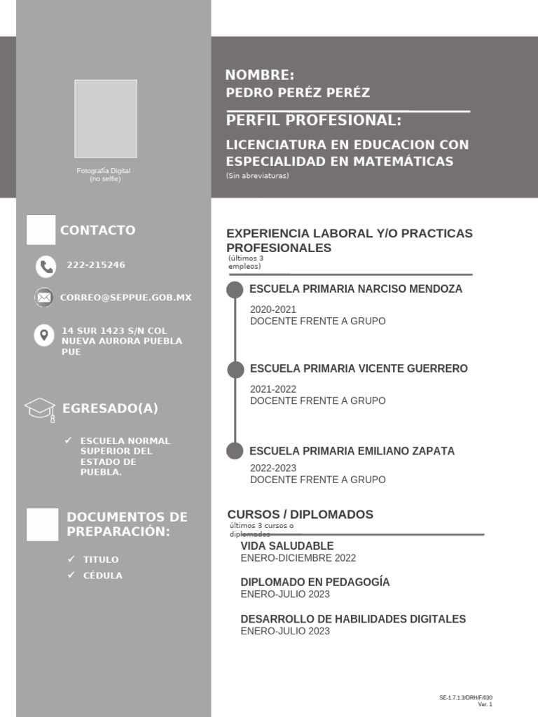 Formato_Curriculum_Vitae | PDF