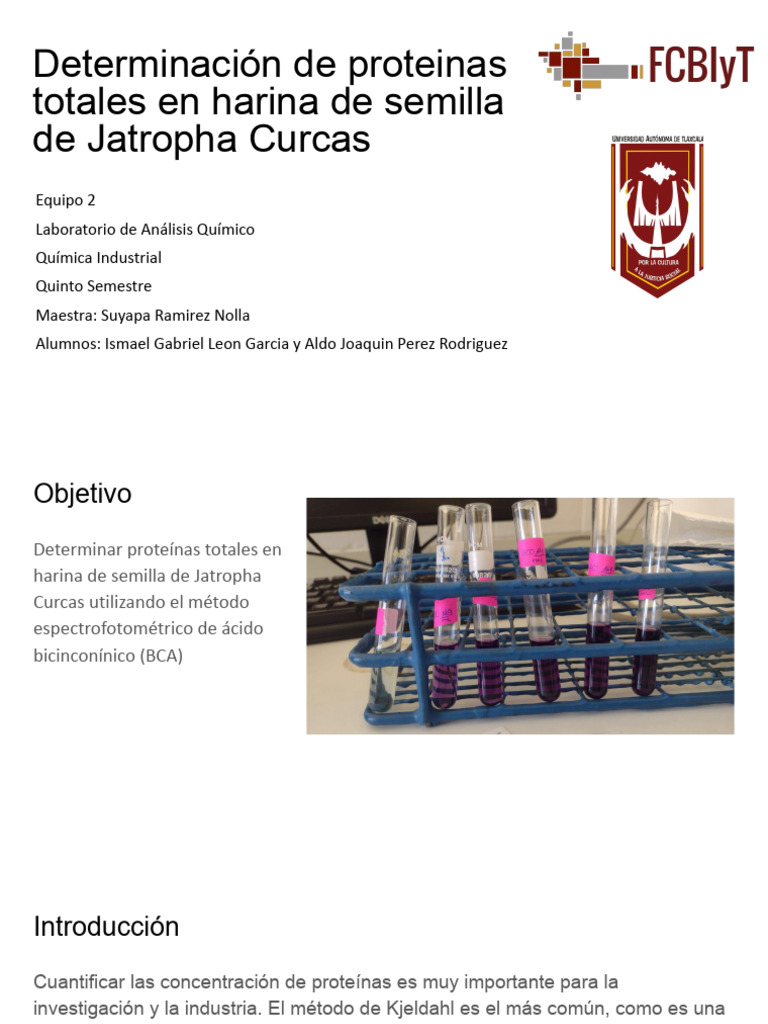 BCA | PDF | Proteínas | Química