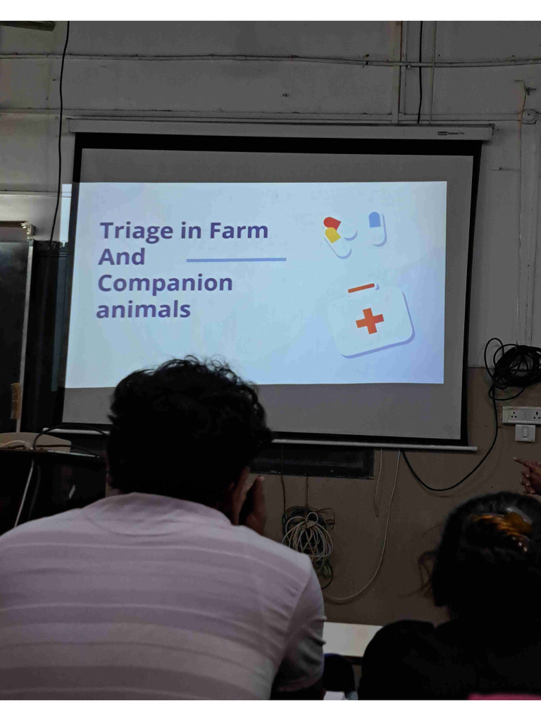 Triage in Farm& Companion Animals, Hase Sir VMD | PDF