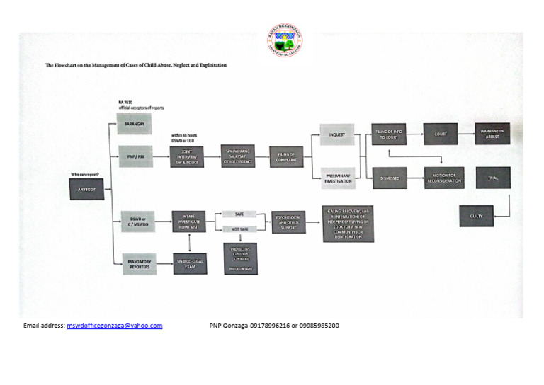 Referral System of CNSP | PDF