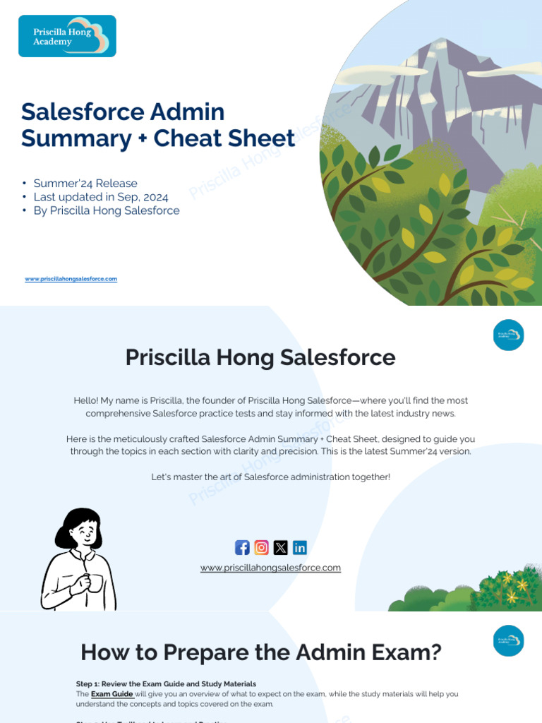 XmJfzRPVQN280XSjHTCE - Salesforce Admin Summary - Cheat Sheet ...