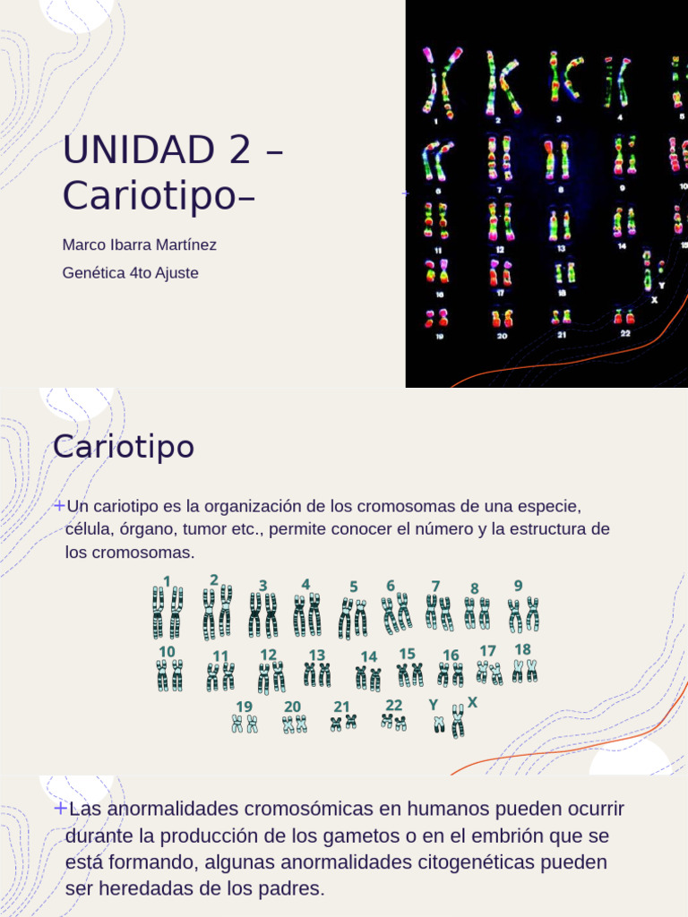 Unidad 2 - Cariotipo | PDF