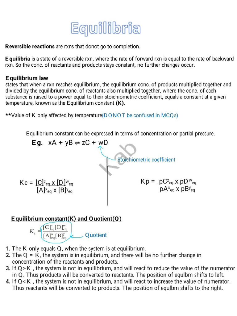 Topic 13 Equilibrium - Watermark | PDF