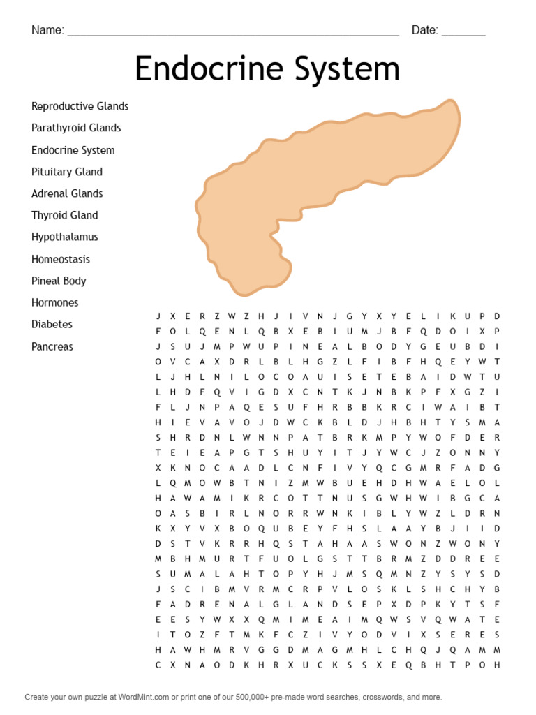 Endocrine_System_aeb8_631b5a14 | PDF | Endocrine System | Diseases And ...