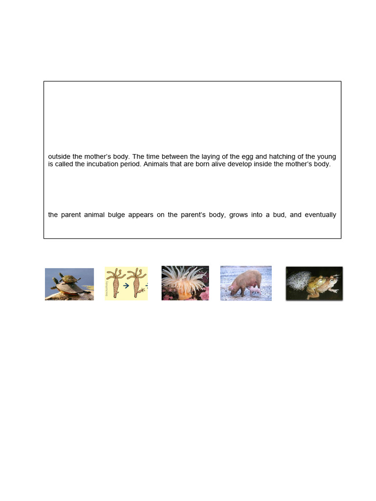Animal Reproduction Modes Explained | PDF | Reproduction | Sexual ...