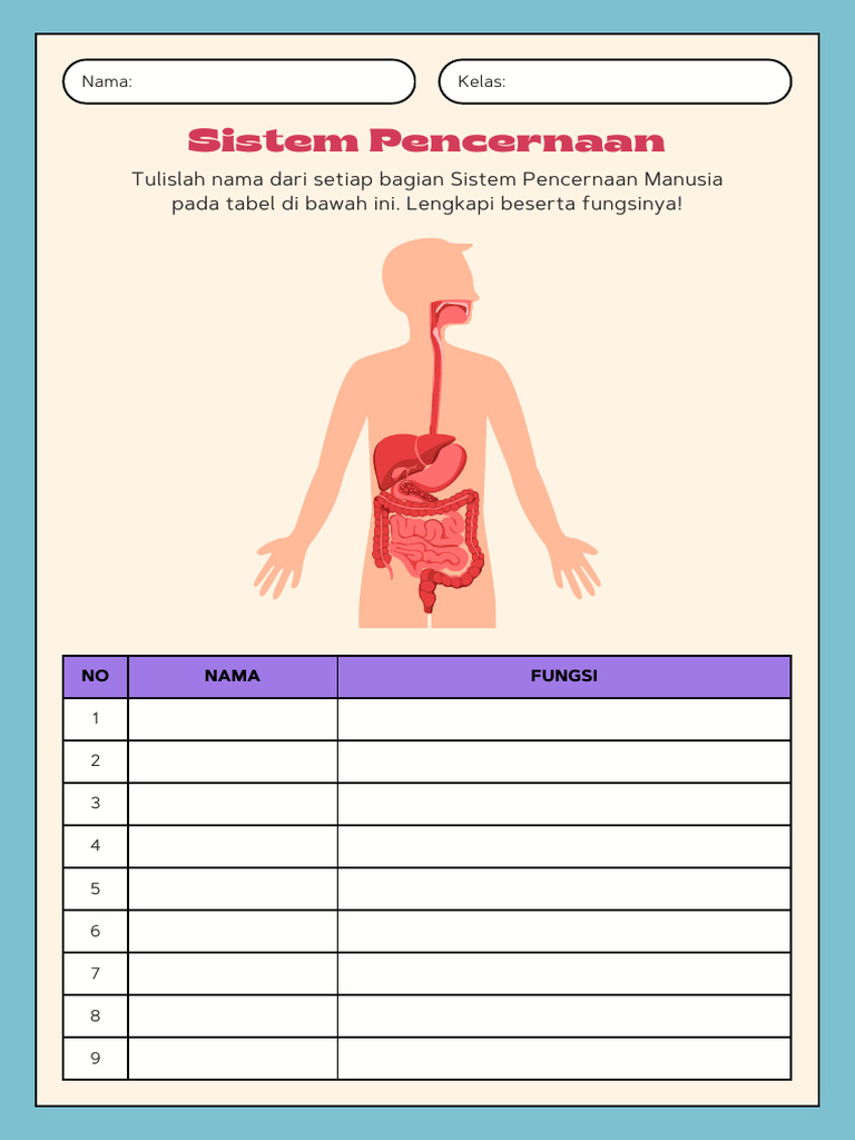 Lembar Kerja Sistem Pencernaan Berwarna Ilustrasi | PDF