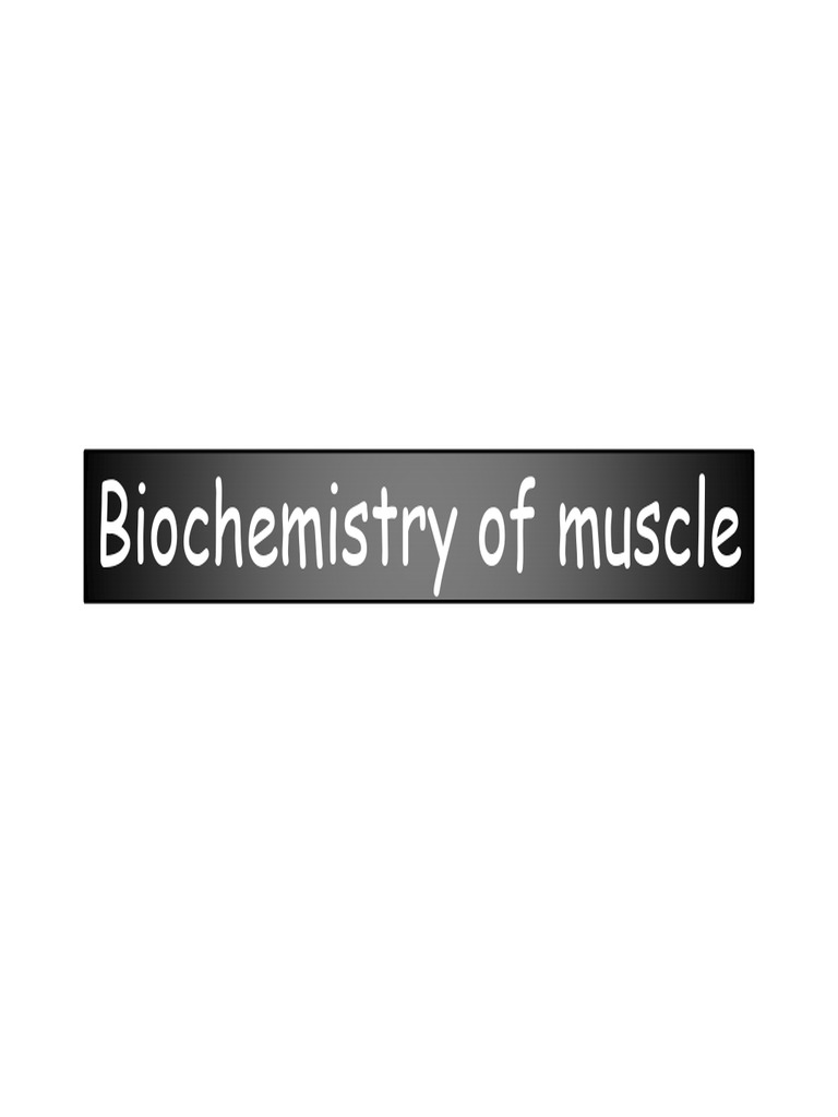 Muscle Biochem 2 | PDF