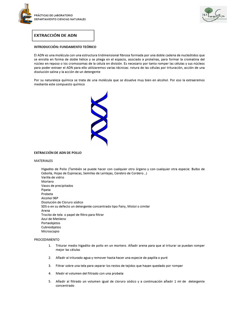 extraccion-de-adn | PDF | Adn | Biología Celular)