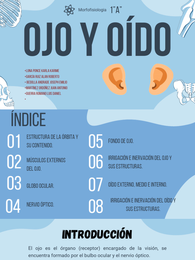 Ojo y Oído PDF | PDF | Ojo humano | Escuchando