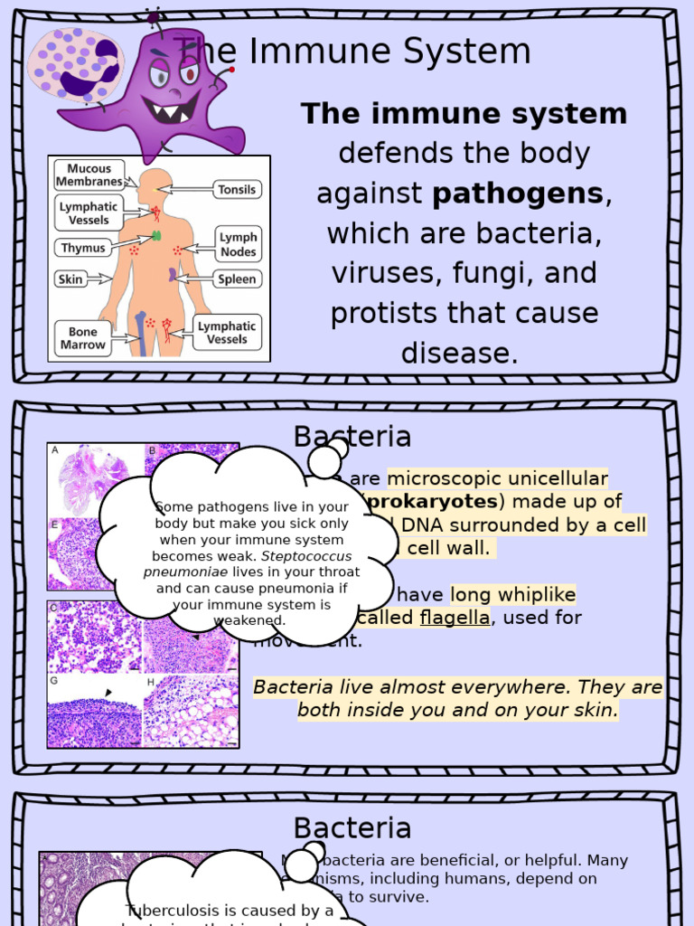 Pathogens and Immune System | PDF | Bacteria | Virus