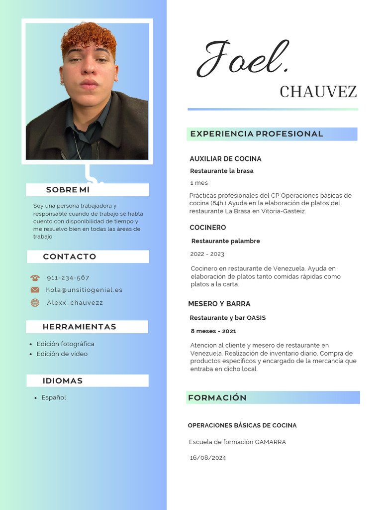 Currículum CV. Joel Chauvez | PDF