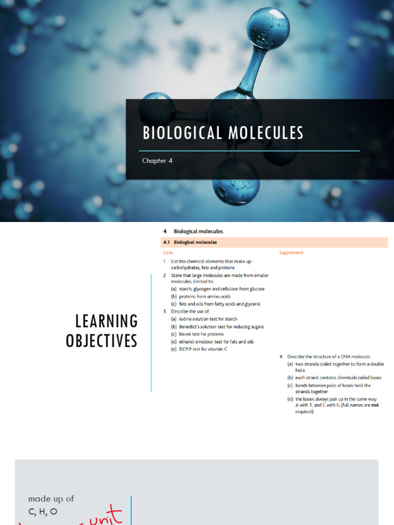 4 Biological Molecules | PDF | Carbohydrates | Glucose