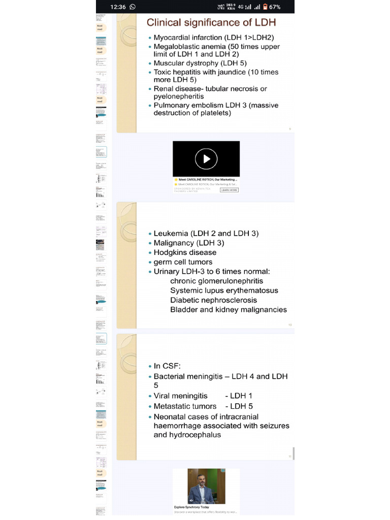 Ldh Clinical Significance | PDF