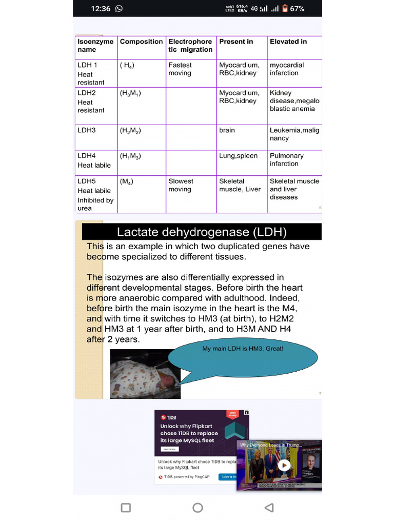 LDH LDH | PDF