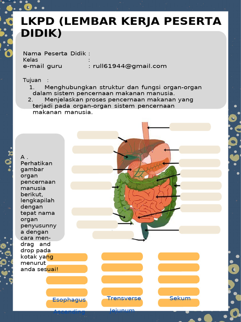 lkpd sistem pencernaan | PDF