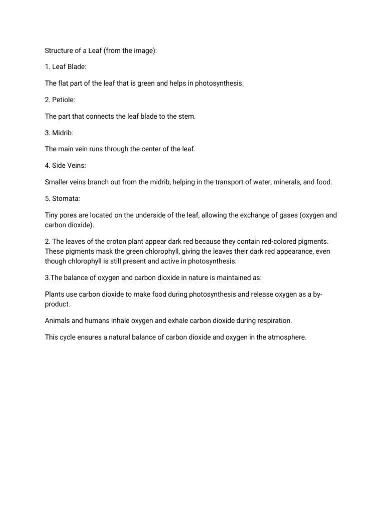 Structure of a-WPS Office | PDF