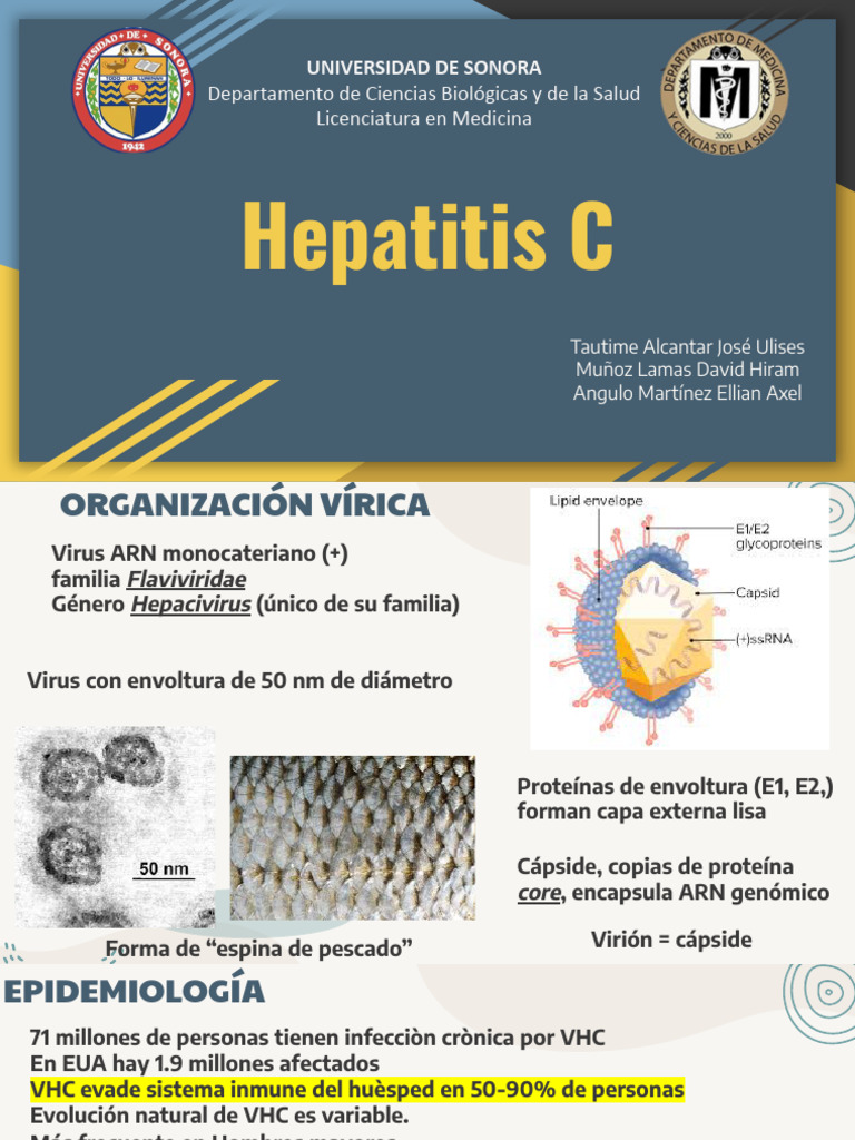 Hepatitis C | PDF | Virus de la hepatitis C | Hepatitis