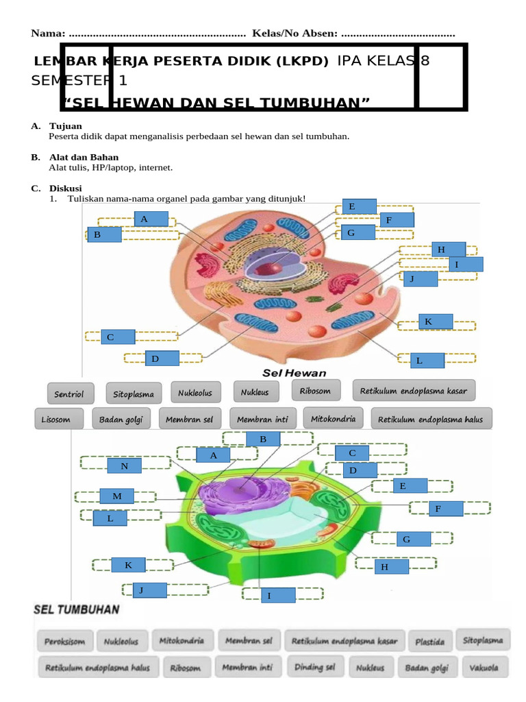 LKPD Sel Hewan Dan Sel Tumbuhan | PDF