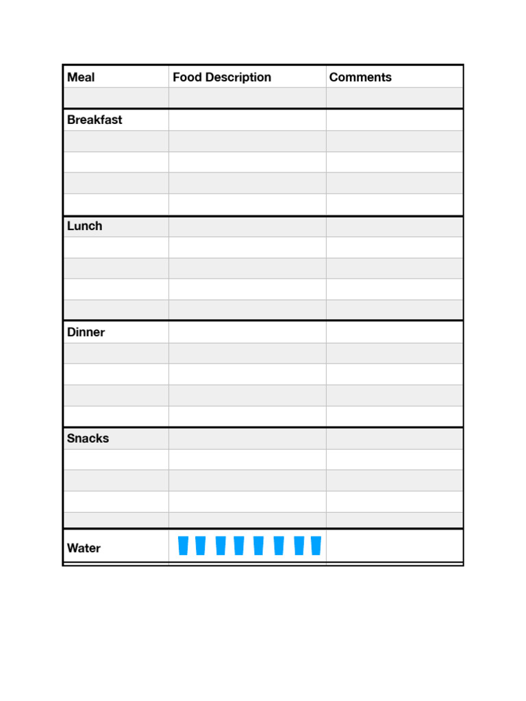 Basic Food Diary | PDF