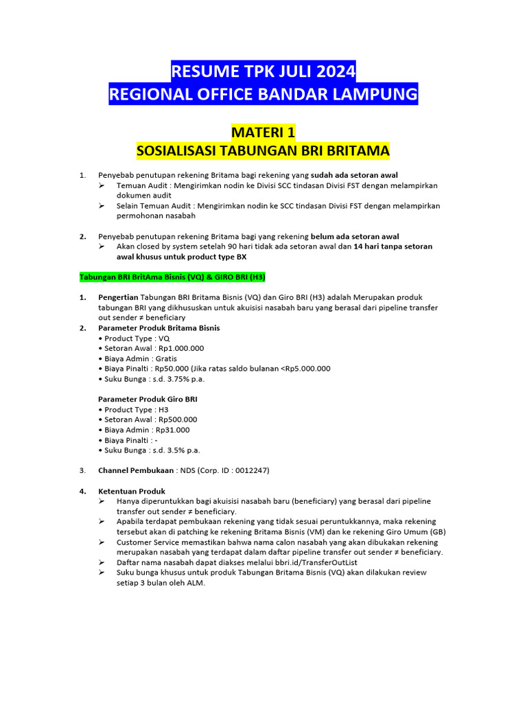RESUME TPK JULI 2024 RO BANDAR LAMPUNG | PDF