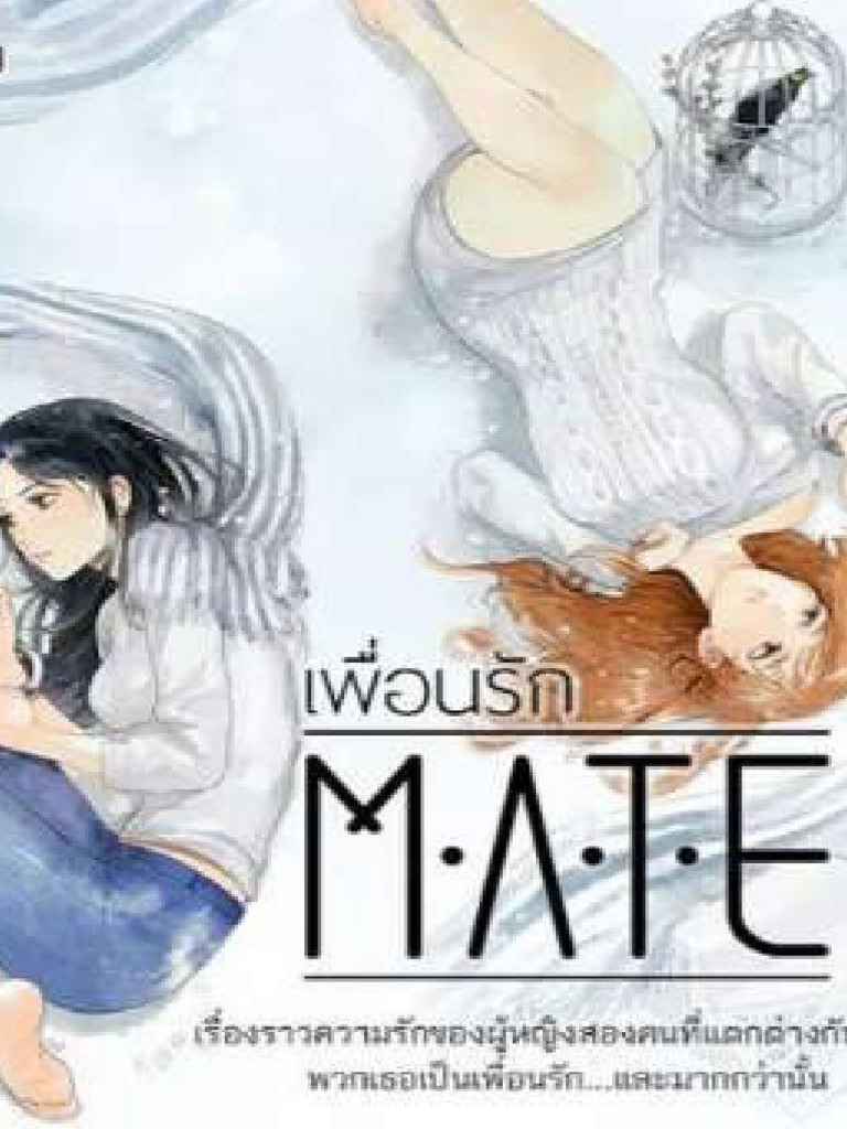 Chao Planoy Mate 1 250 | PDF