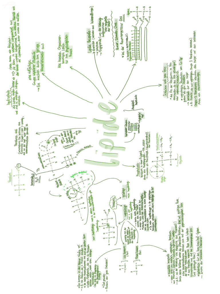 Lipide Mindmap | PDF