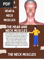 Goat Muscular System Overview | PDF | Thorax | Human Anatomy