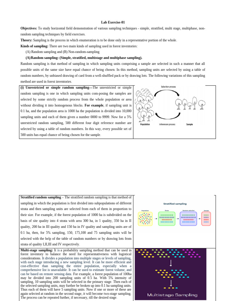Lab Exercise Forest Inventory | PDF | Sampling (Statistics) | Area