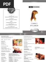 Pravana Chromasilk QuickStart Guide | PDF