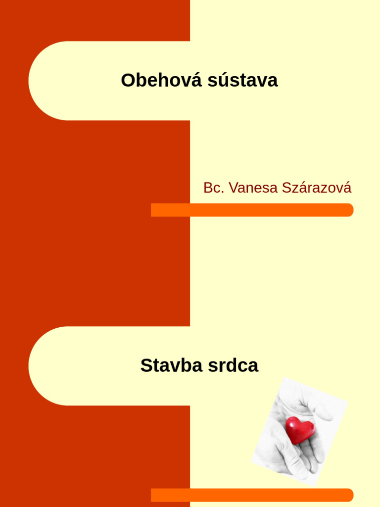 Obehová Sústava | PDF